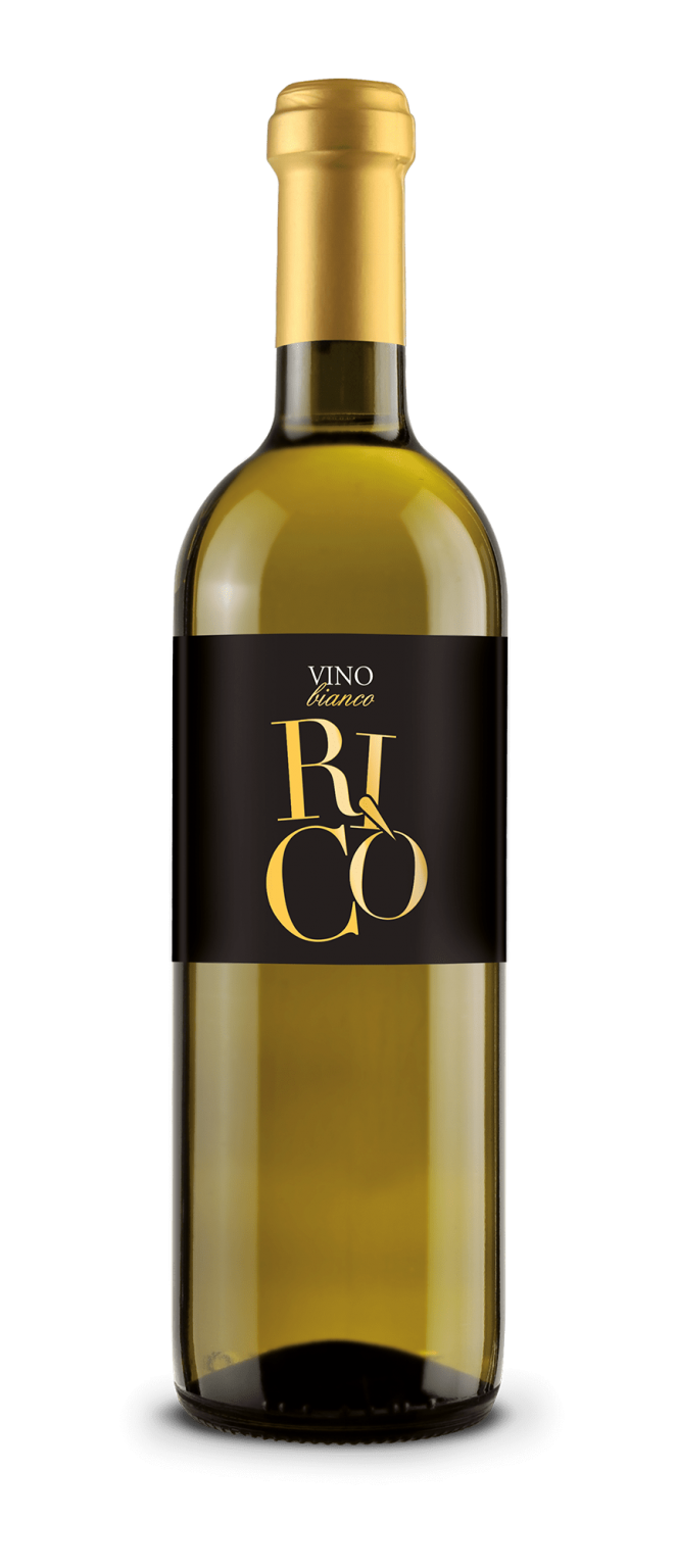 RICÒ White wine | Arione